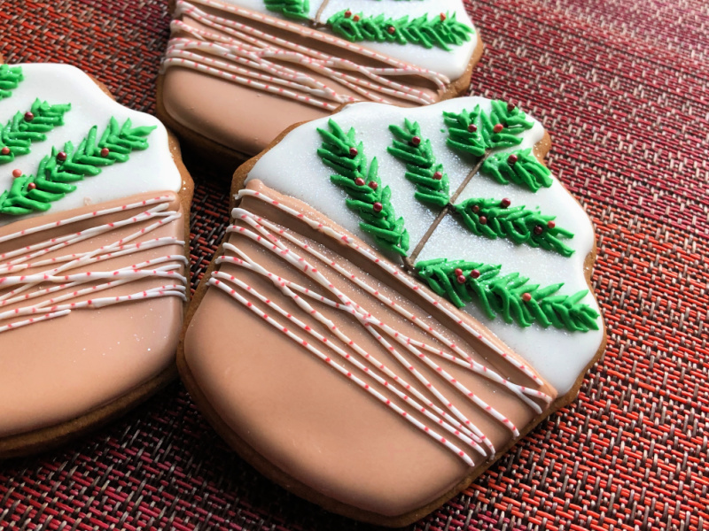 IS IT A CUPCAKE? IS IT A FERN? – For the Love of Cookies