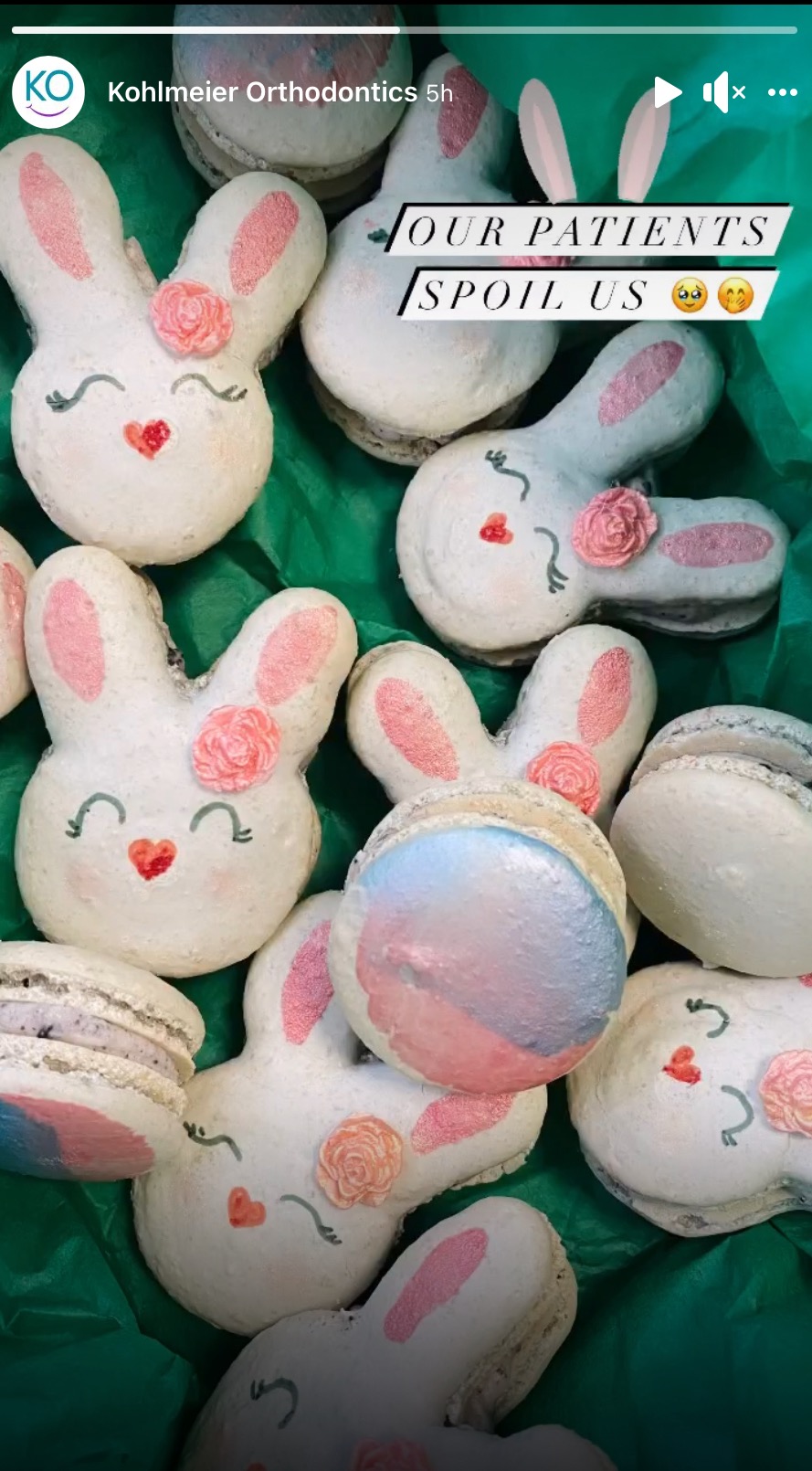 BUNNY RABBIT NUT-FREE MACARONS – For the Love of Cookies
